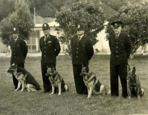 The History of Police K9 Units: Origins and Evolution | Austin Dog Trainers